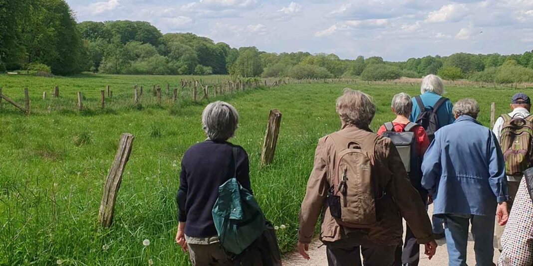 Billstedt: Wanderung entlang der Glinder Au am 10.01.2026 - Ahrensburg ...